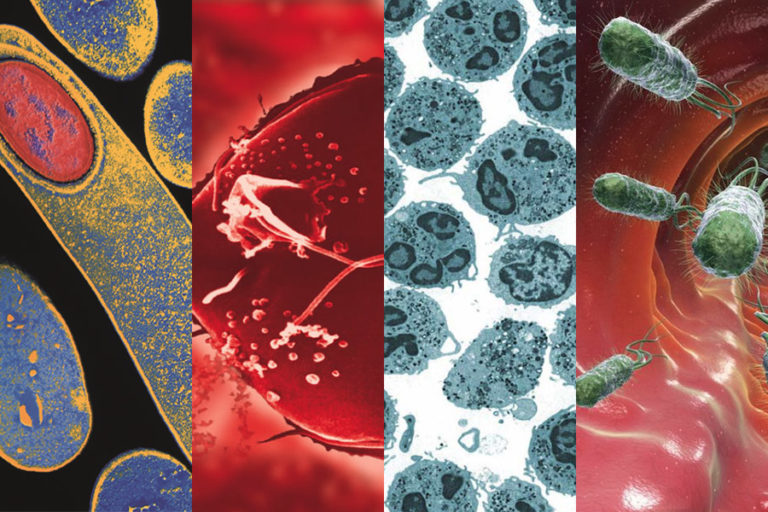 About - TECHLAB, Inc.