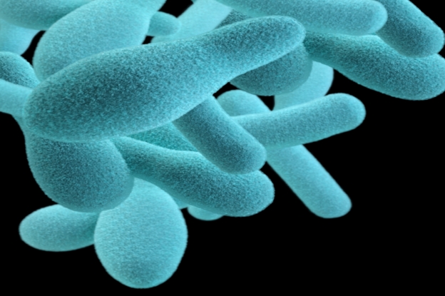 Diagnostics - TECHLAB, Inc.