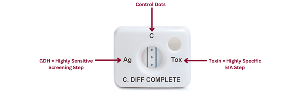 A complete stand-alone 2-step C. difficile algorithm in one test ...