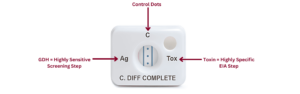 A complete stand-alone 2-step C. difficile algorithm in one test ...