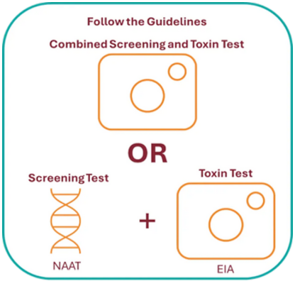 A complete stand-alone 2-step C. difficile algorithm in one test ...